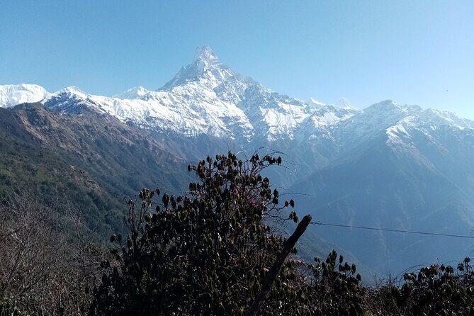 4 Days Private Mardi Himal Base Camp Trek - Who Is This Trek For?