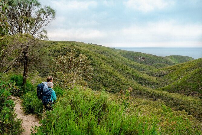 4 Days Private Walking Tour in South Australia - Practical Considerations