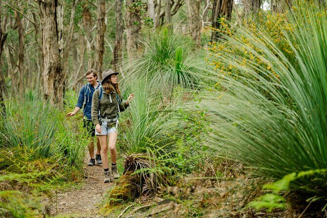 4 Days Private Walking Tour in South Australia - FAQ