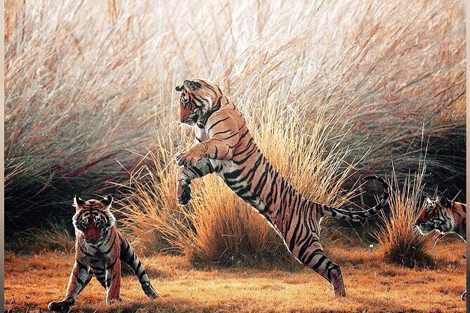 4 Days: Ranthambore & Jaipur Tour From Agra With Delhi Drop - Authenticity & Traveler Experience