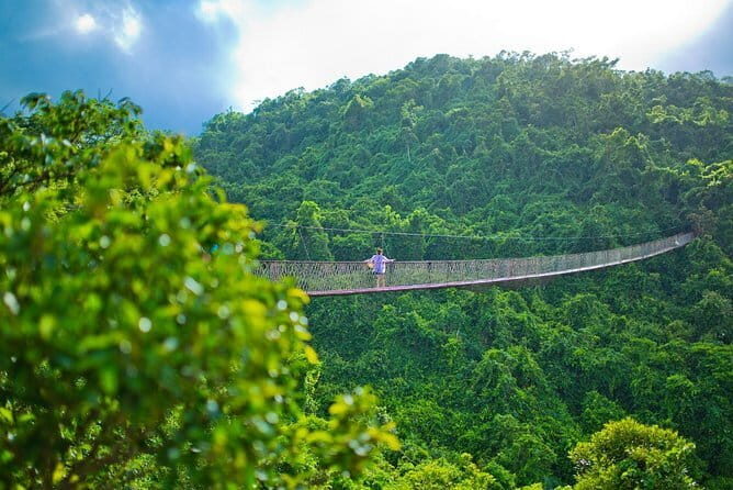 4 Days Sanya Highlight Private Tour for Tropical Rain Forest Experience - Day 4: Farewell and Departure