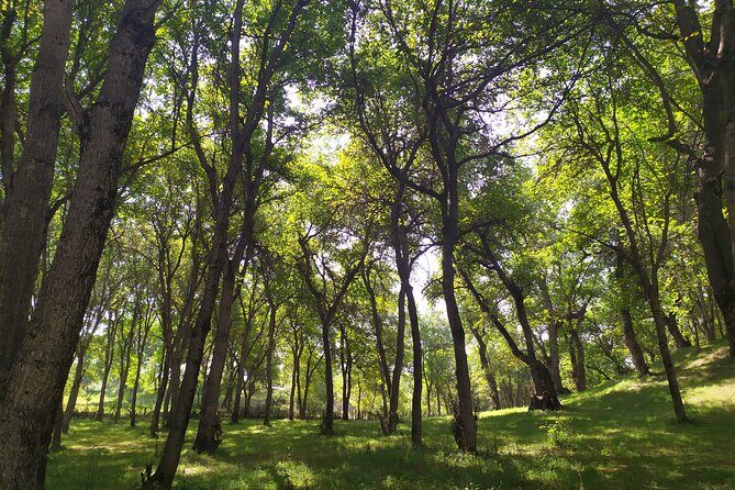 4 days tour to Arslanbob and Sary-Chelek - Key Points