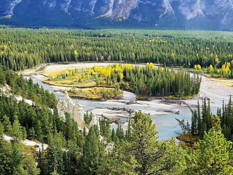 4 Days Tour to Banff & Jasper National Park with Hotels - An In-Depth Look at the 4-Day Rockies Tour