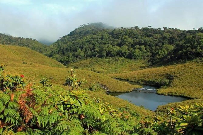 4 Days Tour with Hiking and Scenic Train Ride - Why This Tour Offers Great Value