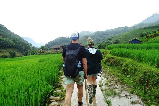 4 days trekking from Lao Cai to Hoang Lien National Park - Practical Considerations and Tips