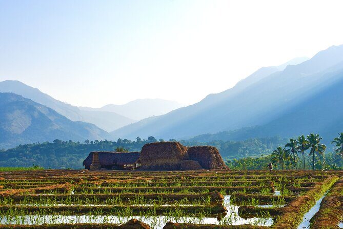 4 days village exploration in Kerala ! - An In-Depth Look at the Itinerary