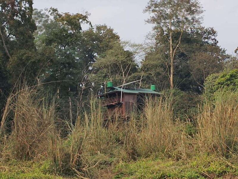 4 Days with One Tower Night Stay in Chitwan National Park - Final Verdict and Who Its For