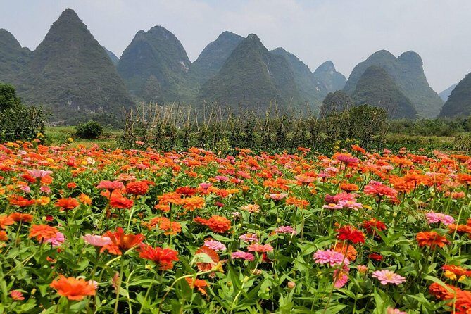 4-Days Yangshuo and Guilin Tour from Guilin - The Scenic and Cultural Highlights