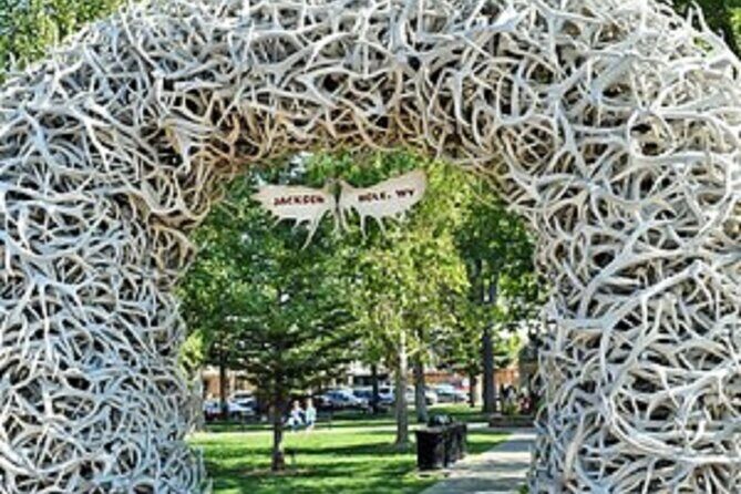 4 Days Yellowstone and Grand Teton Adventure from Salt Lake City - The Real-World Experience