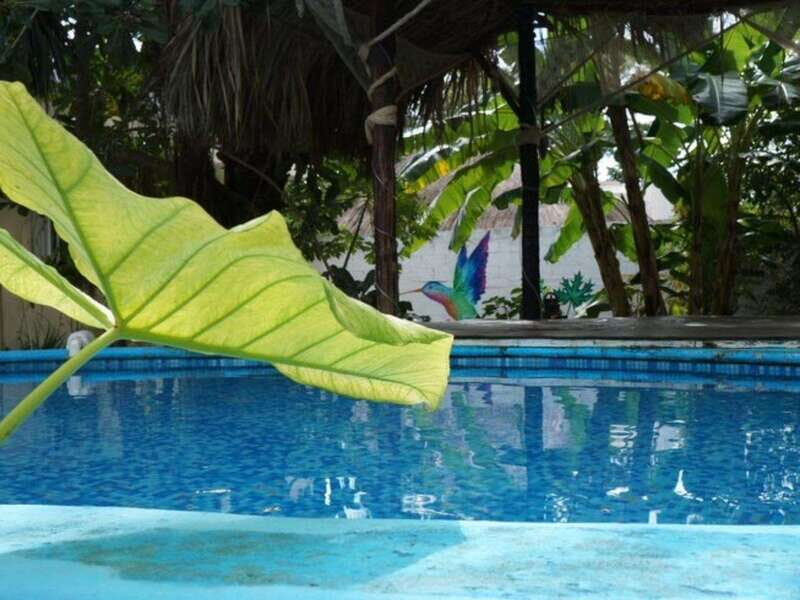 4 Days Yoga, Snorkel and Horseback Riding in Cozumel - Detailed Review of the Experience