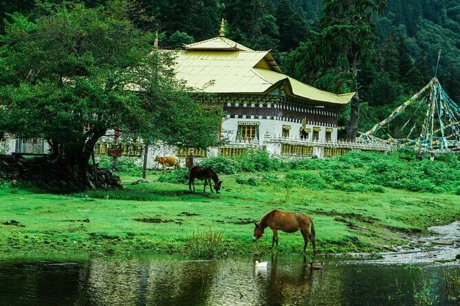 4 Days Yubeng Trekking Tour - FAQ