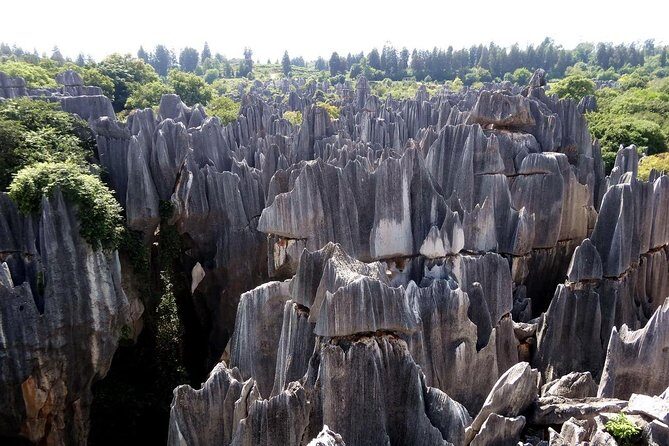4 Days Yunnan Yuanyang Rice Terraces Photography Tour from Kunming - How Do the Logistics and Price Hold Up?