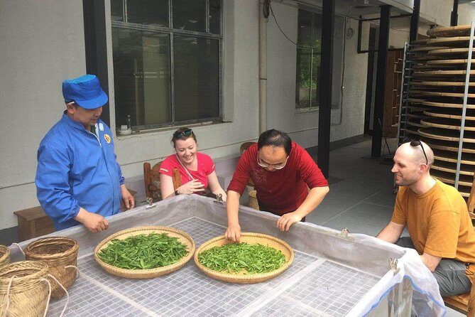 4 Days Zhangjiajie Classic Tour & Activities (5-star Hotel) - Final Summary