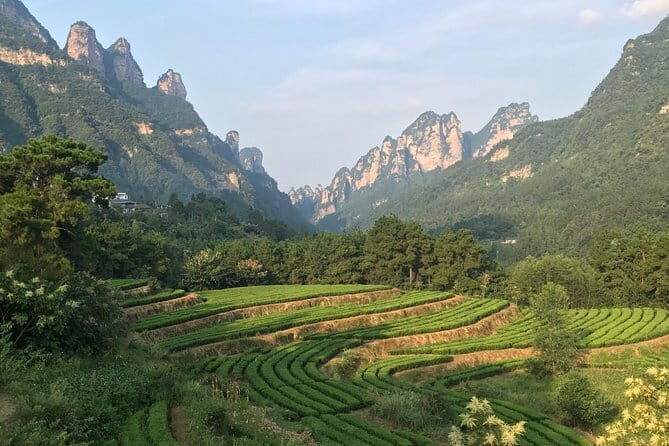 4 Days Zhangjiajie Classic Tour&Activities(Classical Boutique Hotel) - How Good Is the Value?