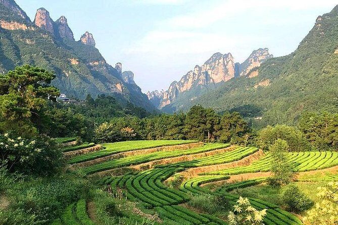 4 Days Zhangjiajie Highlights with Rice Terrace View (Hand-picked Featured Inn) - Discovering Zhangjiajie: An In-Depth Look at the 4-Day Adventure