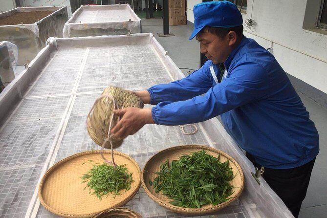 4 Days Zhangjiajie Highlights with Rice Terrace View (Hand-picked Featured Inn) - Final Thoughts