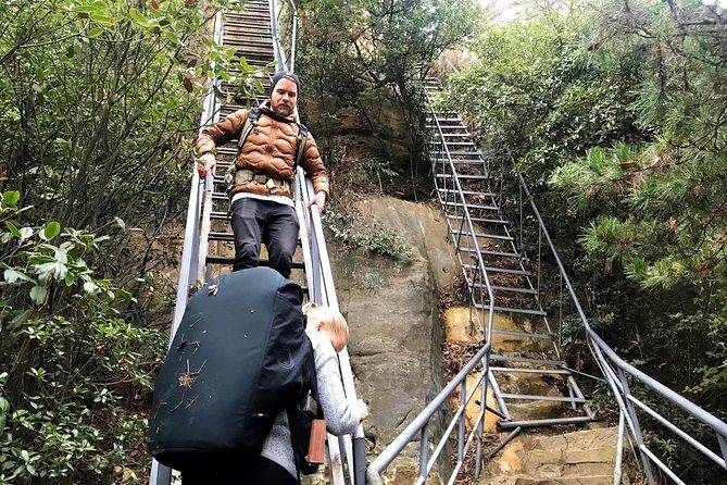 4 Days Zhangjiajie National Forest Park Hiking Tour(5-Star Hotel) - Transport, Accommodation, and Value