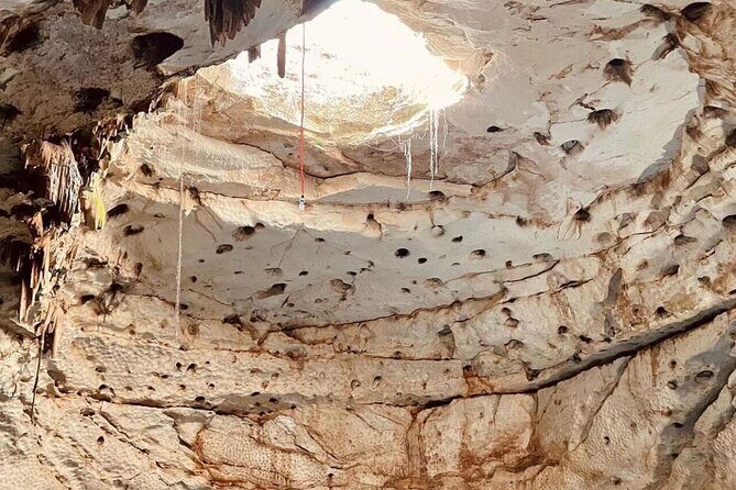 4 different cenotes with food from Merida - Why This Tour Stands Out