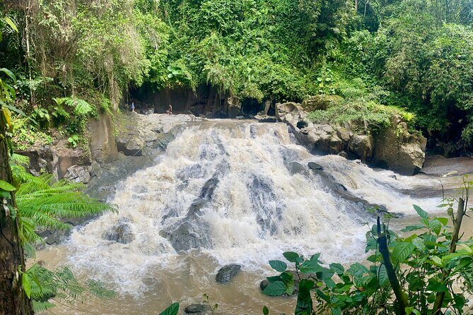 4 Easy Access Waterfalls Private Tour - Key Points