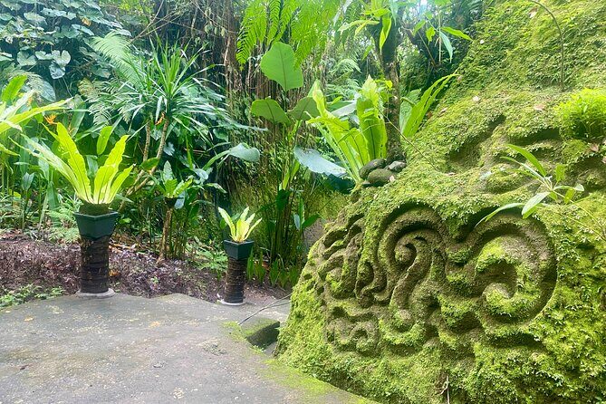 4 Easy Access Waterfalls Private Tour - What Makes This Tour Special?