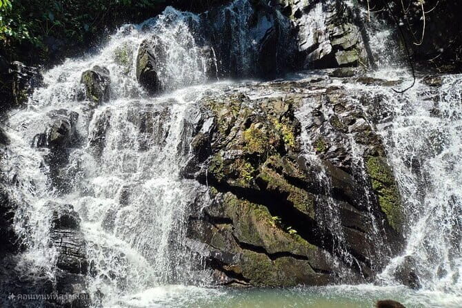 4 Element Day with Zipline Adventure Expedition - Practical Details and What You Need to Know