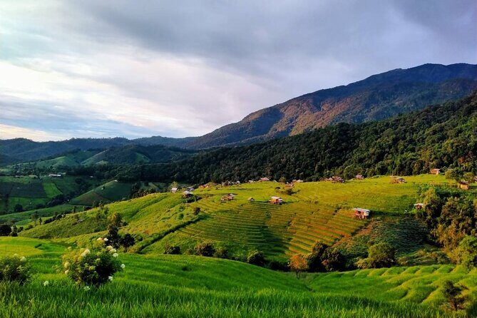 4 EXPERIENCES DAY TRIP. Sticky waterfalls, Elephants, Wat &Market - Key Points