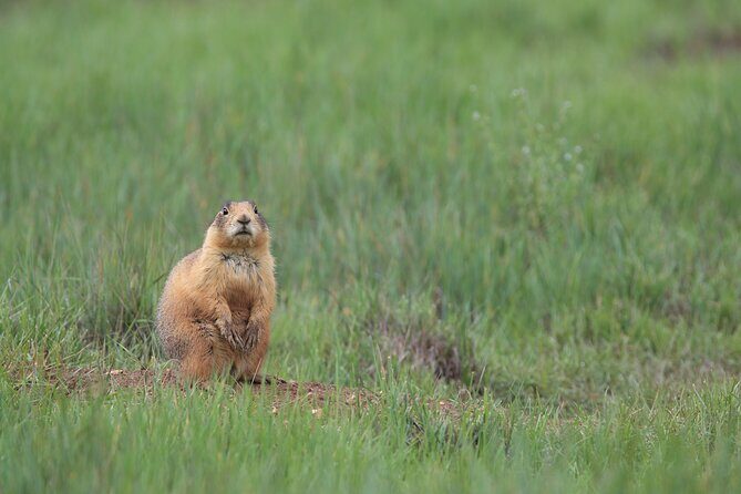 4-Hour, 5-seat ATV Rental next to Bryce National Park - Key Points