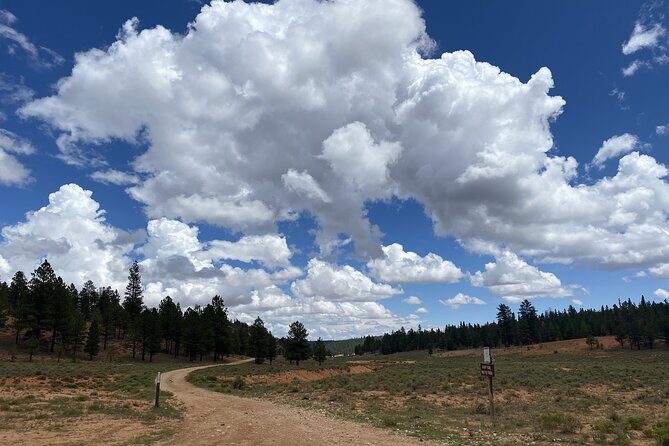 4-Hour, 5-seat ATV Rental next to Bryce National Park - Why Is This Adventure Worth It?