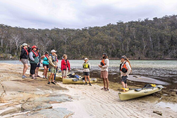 4 Hour Aboriginal Culture Tour Kayaking Pambula River - Introduction