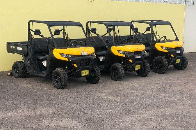 4-Hour Buggy Tour of New Providence (Inclusive of water & local deserts) - The Guide Experience: Friendly and Knowledgeable