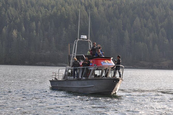 4 hour Covered Boat Whale and Wildlife Tour - The Value of This Tour