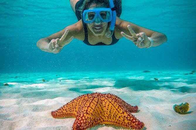 4 Hour Cozumel Reefs Snorkeling - What to Expect on This Cozumel Snorkeling Tour