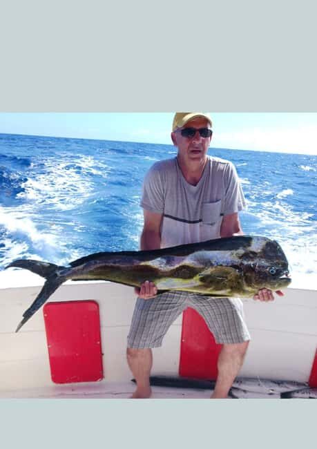 4 hour deep sea fishing experience from punta cana - Key Points