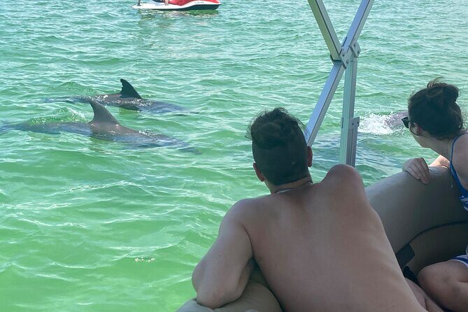 4 Hour Dolphin and Sandbar Cruise - An In-Depth Look at the Experience