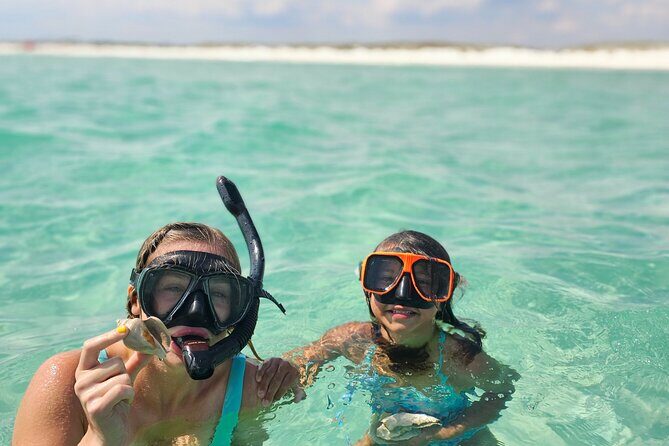 4 Hour Eco Dolphin Tour in Panama - Who will love this tour?