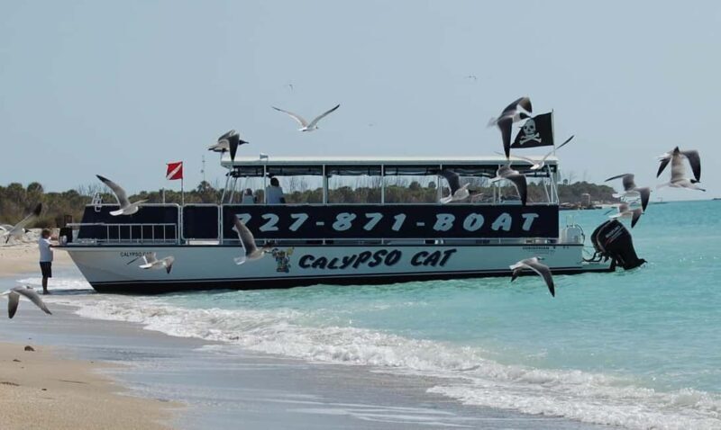 4 Hour Egmont Key Island Tour With Dolphins & Snorkeling - An Introduction to the Egmont Key Tour Experience