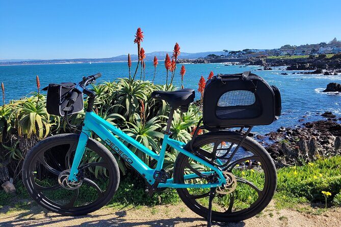 4 hour Electric Bike Rental on 17 Mile Drive - Final thoughts: Who would love this experience?