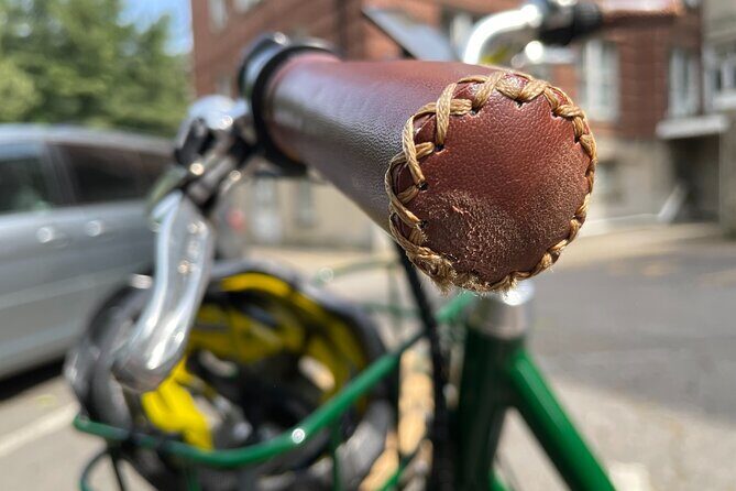 4 Hour Electric Bike Rentals in Asheville - Who Will Love This Rental?