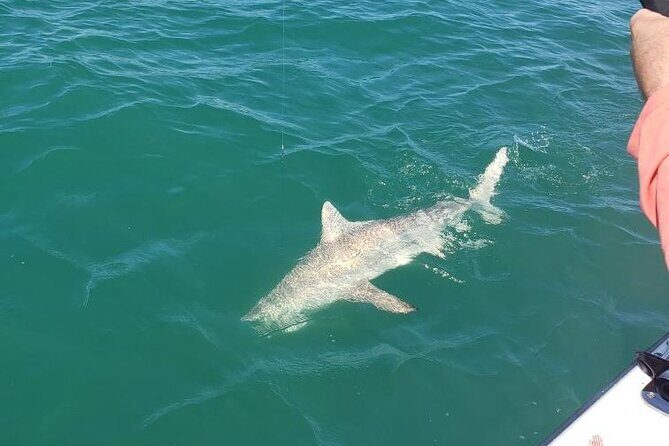4-hour Fishing Adventure at Belleair Causeway - The Authentic Florida Experience