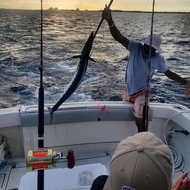 4 hour Fishing or Snorkeling - 4 Hour Fishing or Snorkeling Experience in the Bahamas: An Honest Review