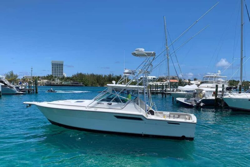 4 hour Fishing or Snorkeling - Key Points