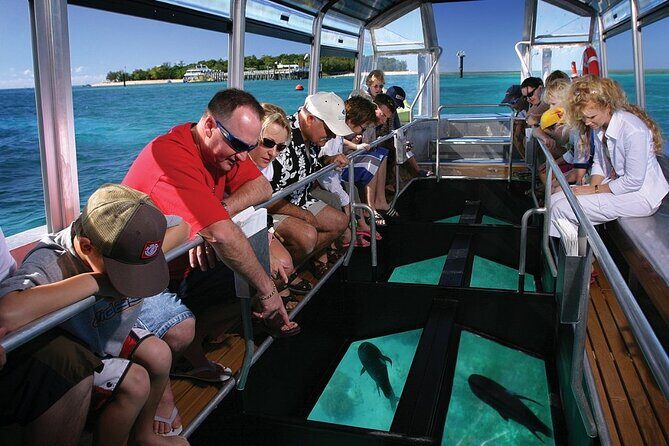 4-Hour Glass Bottom Boat Experience in Punta Cana - An Honest Look at the Tour Itself