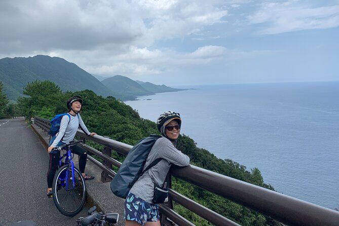 4 Hour Guided Cycling Experience in Yakushima - Who Is This Tour Best For?