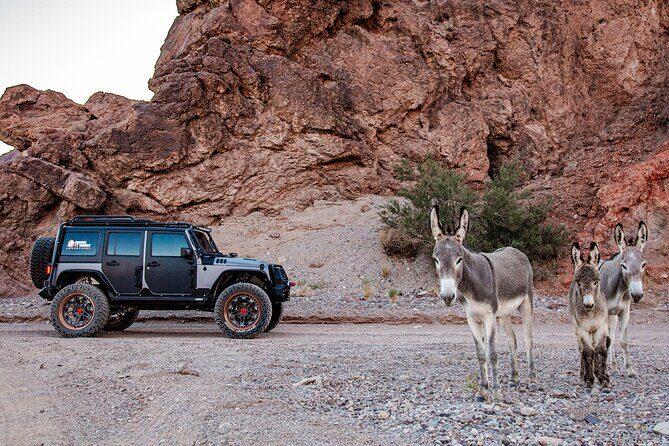 4-Hour Guided Off-Road Adventure to Wild Horses and Old Saloon - An Authentic Off-Road Adventure Near Las Vegas