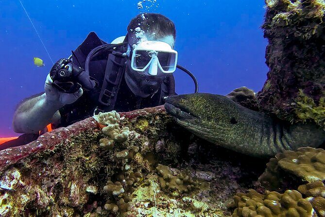 4 Hour Guided Scuba Diving Adventures in Waikiki - FAQ: Your Practical Questions Answered