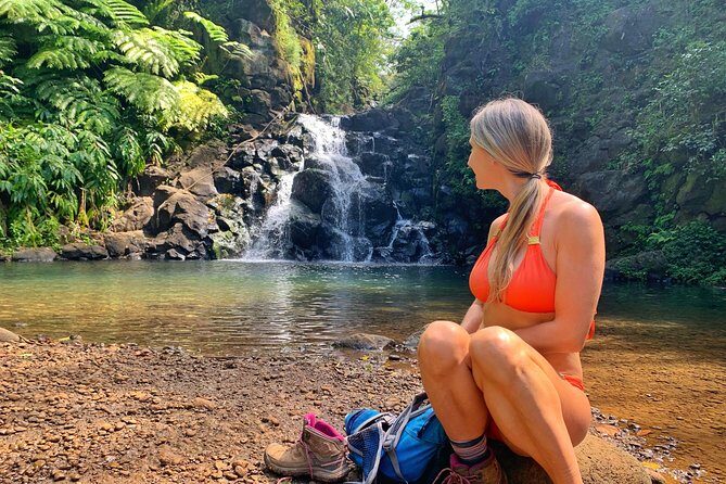 4 Hour Half Day Island Jeep Tour - Who Will Love This Tour?