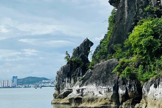 4-Hour Halong Bay Tour with Kayak & Thien Cung Cave Exploration - Who Should Consider This Tour?