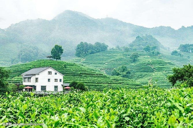 4-Hour Hangzhou Highlights Tour of Lingyin Temple and West Lake - Who Should Consider This Tour?
