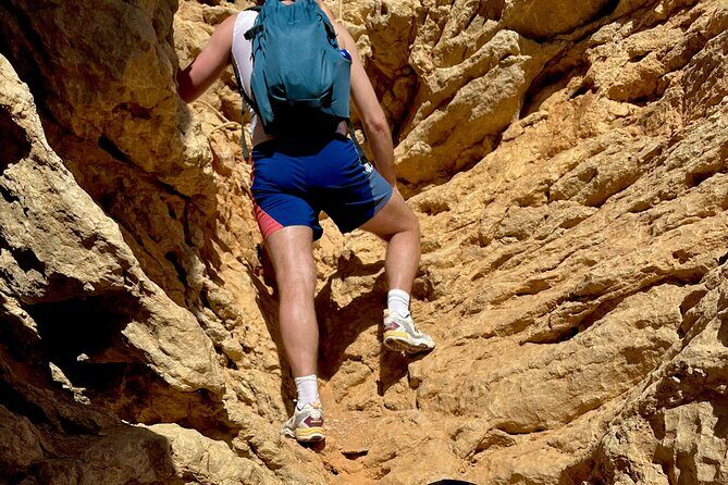 4 hour hiking in Ibiza-DIH Hike with us.Connect with nature! - Key Points