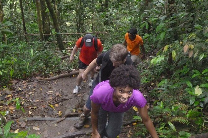 4-Hour Hiking to Gros Piton St Lucia with Tour Guide - Introduction to the Gros Piton Hike Tour